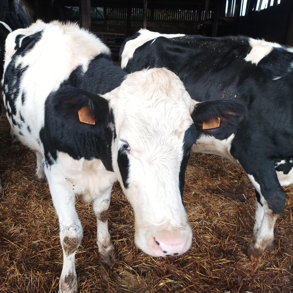 TONYX – Source de Vie de sol à l'homme